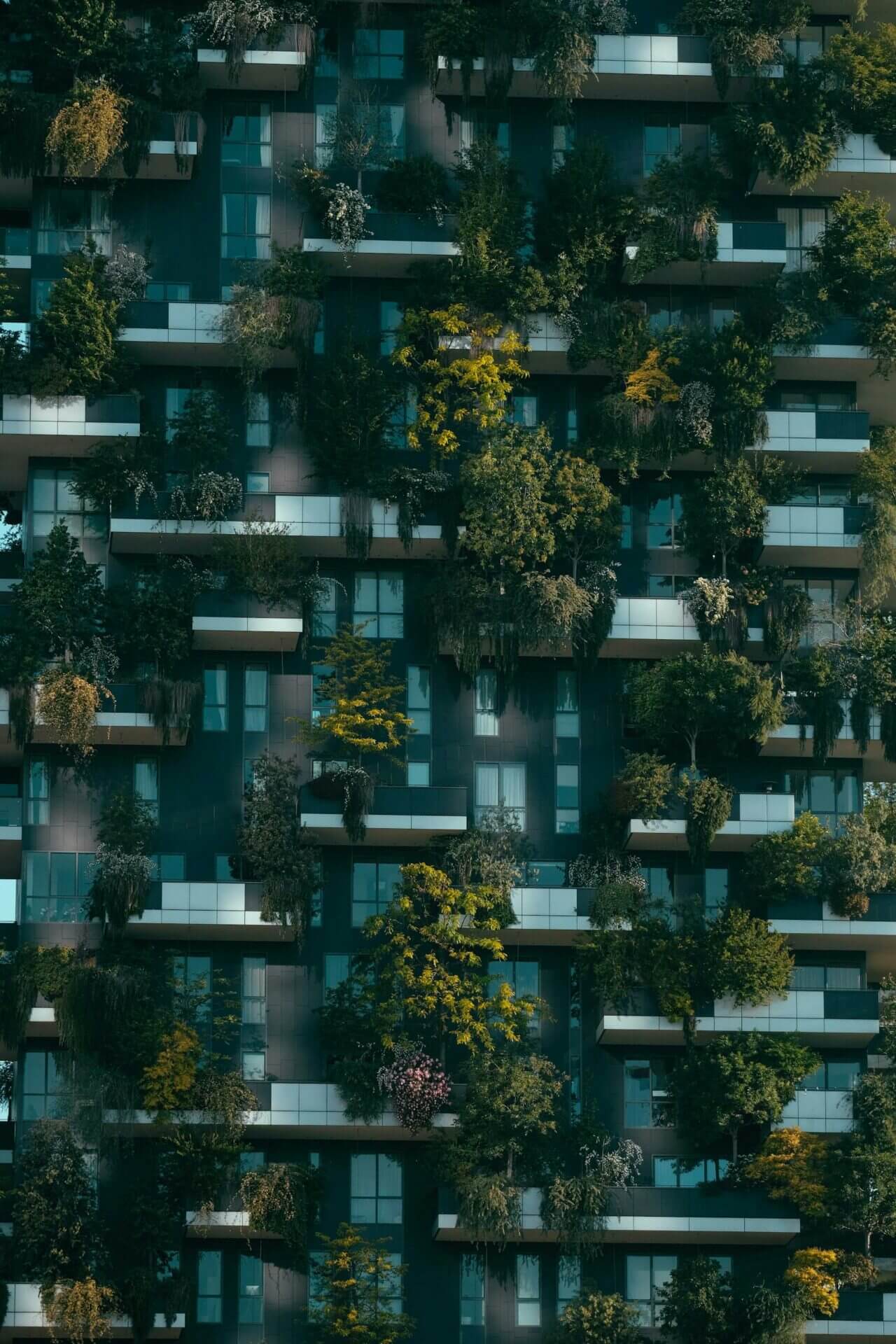 Housing Transition Options in Singapore: A Comprehensive Guide for ...
